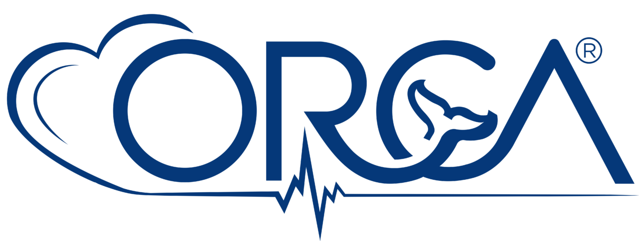 ORCA Training - Agents